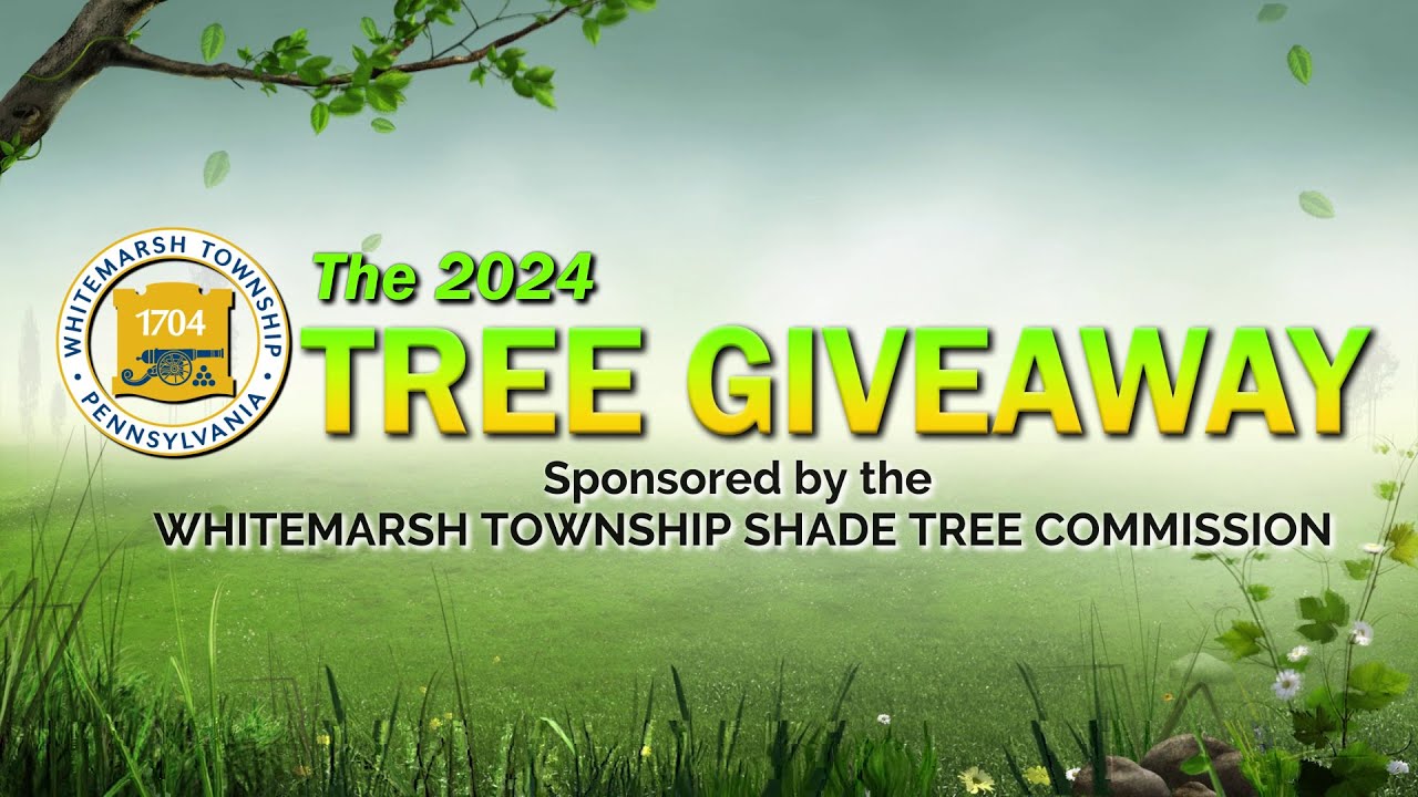 Annual Tree Giveaway 2024: How To Plant Your Tree - YouTube