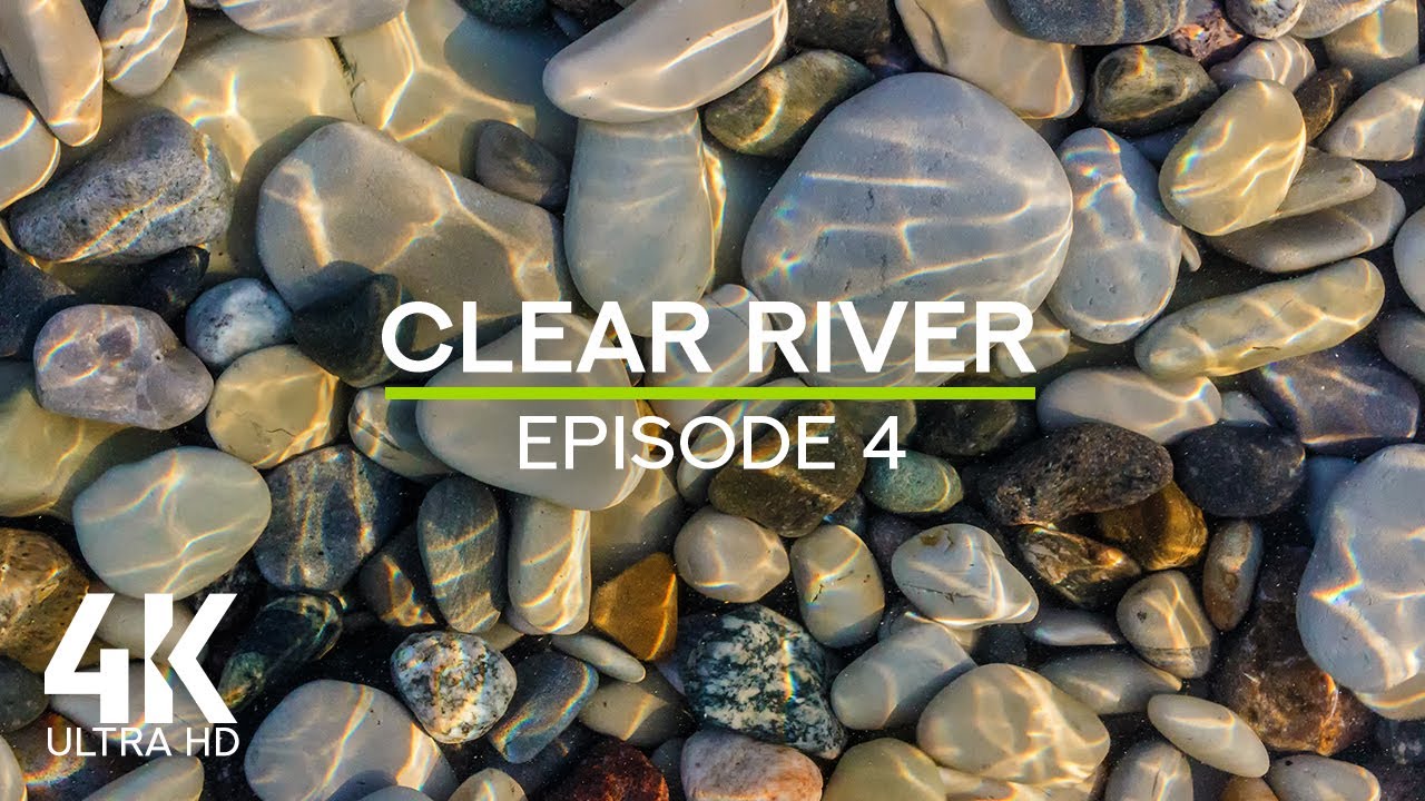 Calming Ambience with Birds Chirping & Flowing Water Sounds - 4K ...