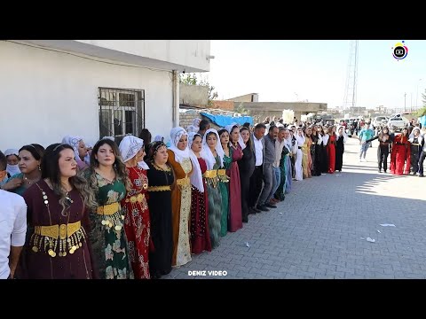 Silopi Düğünleri Agit Tanrıverdi Düğünü Part 2 Tanrıverdi Ailesinin Mutlu Günü Grup Nihat Silopi