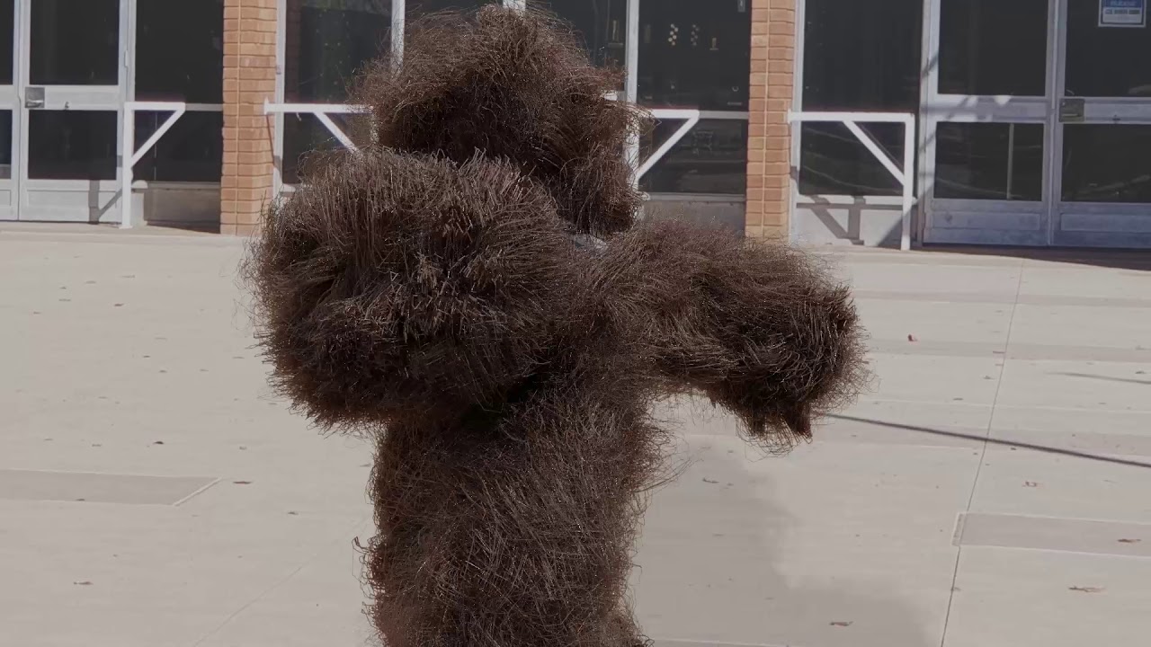 Rendering fur with Blender - YouTube