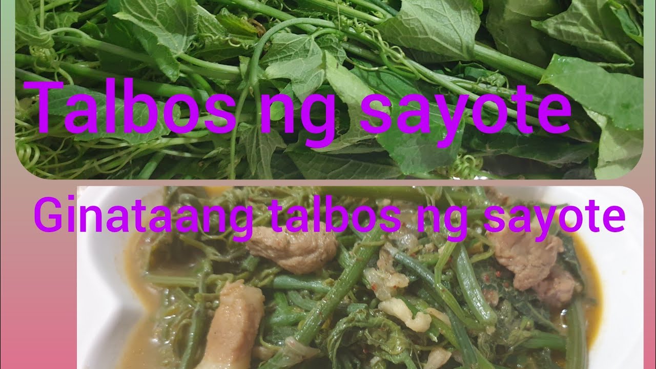 Ginataang Talbos Ng Sayote (Organic Vegetable) - YouTube