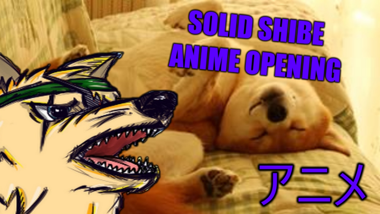 Solid Shibe Anime Opening - YouTube