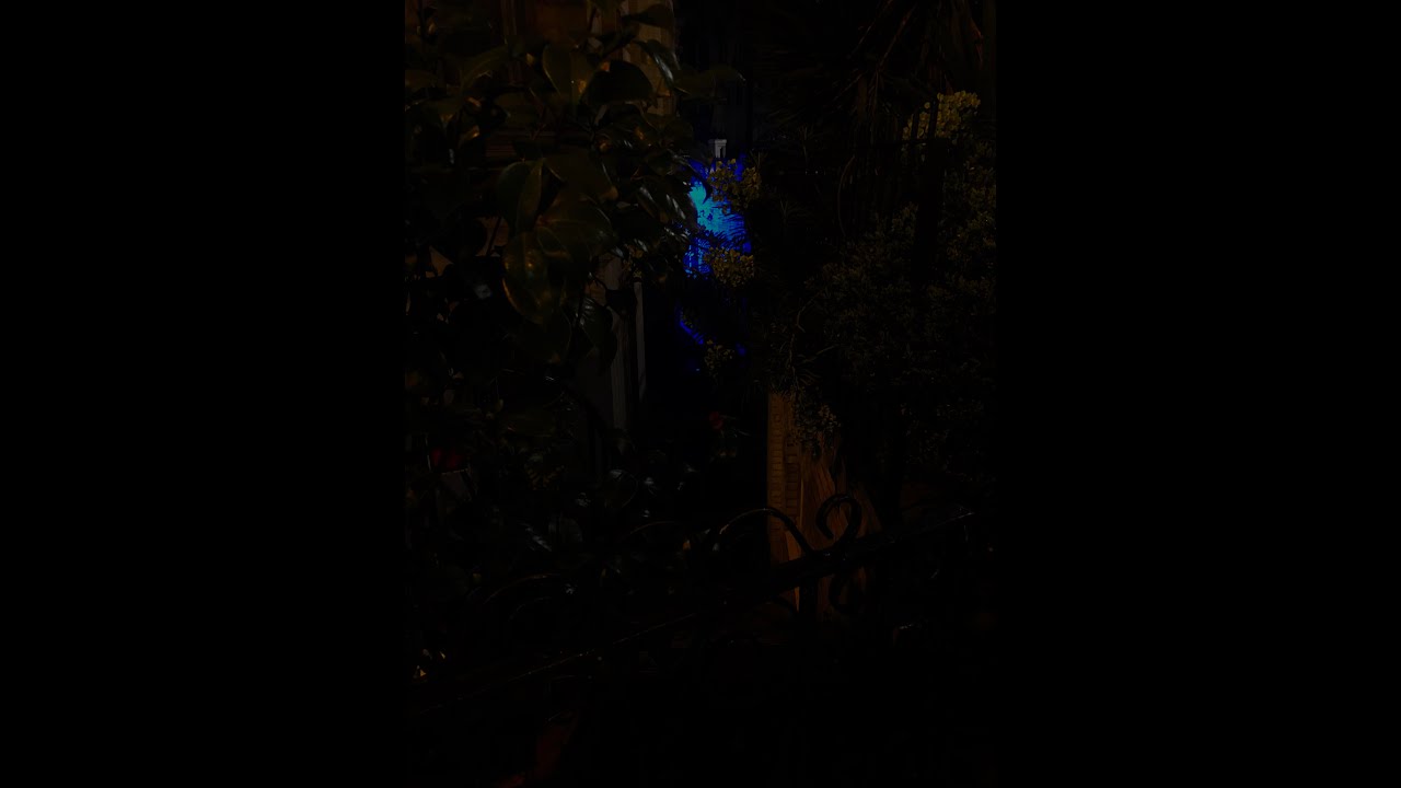 Joshua Kaye - strong nation - YouTube