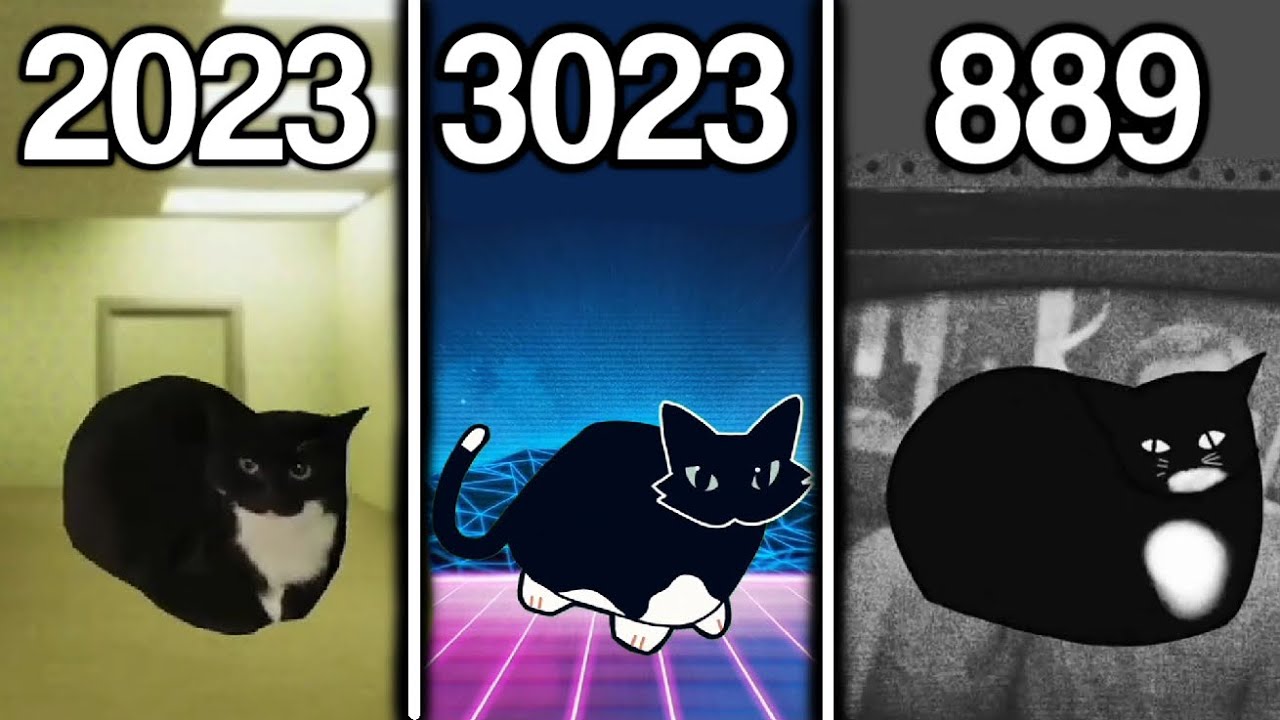 Maxwell cat dance in different years | maxwell cat - YouTube