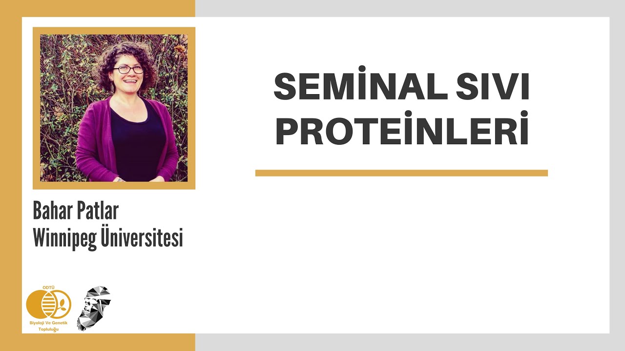 Bahar Patlar - Seminal Sıvı Proteinlerinin Evrimi - YouTube