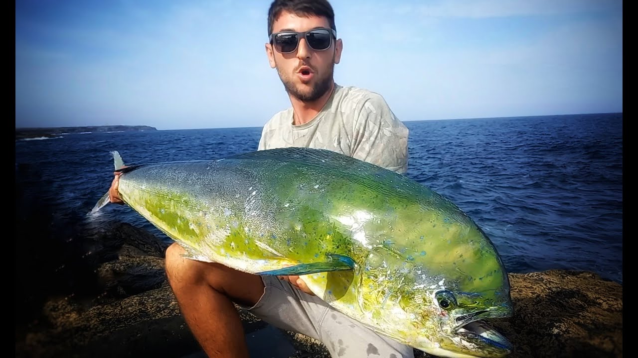 Grandi Lampughe dalla scogliera - Huge Mahi Mahi from the shore - YouTube