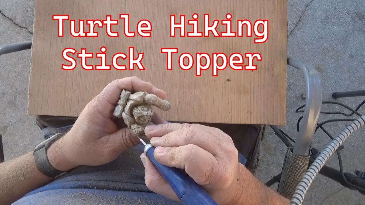 Lazy hiking turtle - YouTube