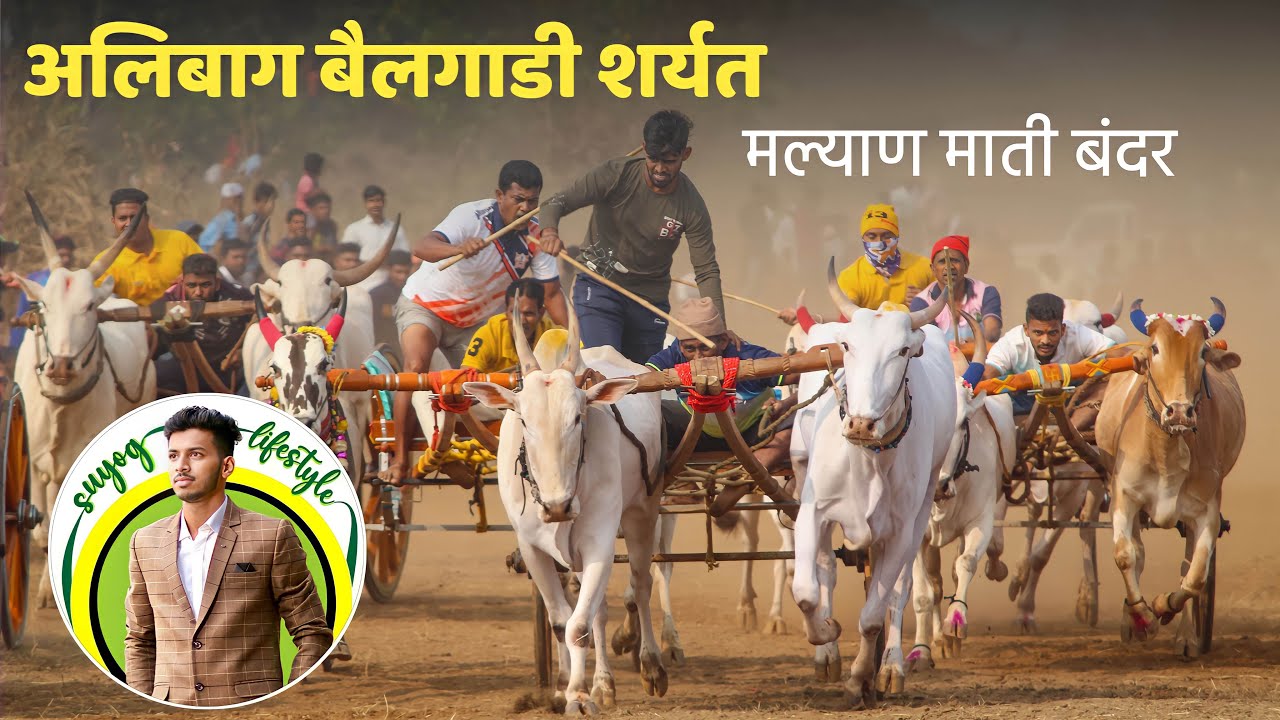 बैलगाडी शर्यतीचा थरार 😍अलिबाग- मल्याण माती बंदर | नांद एकच बैलगाडी ...