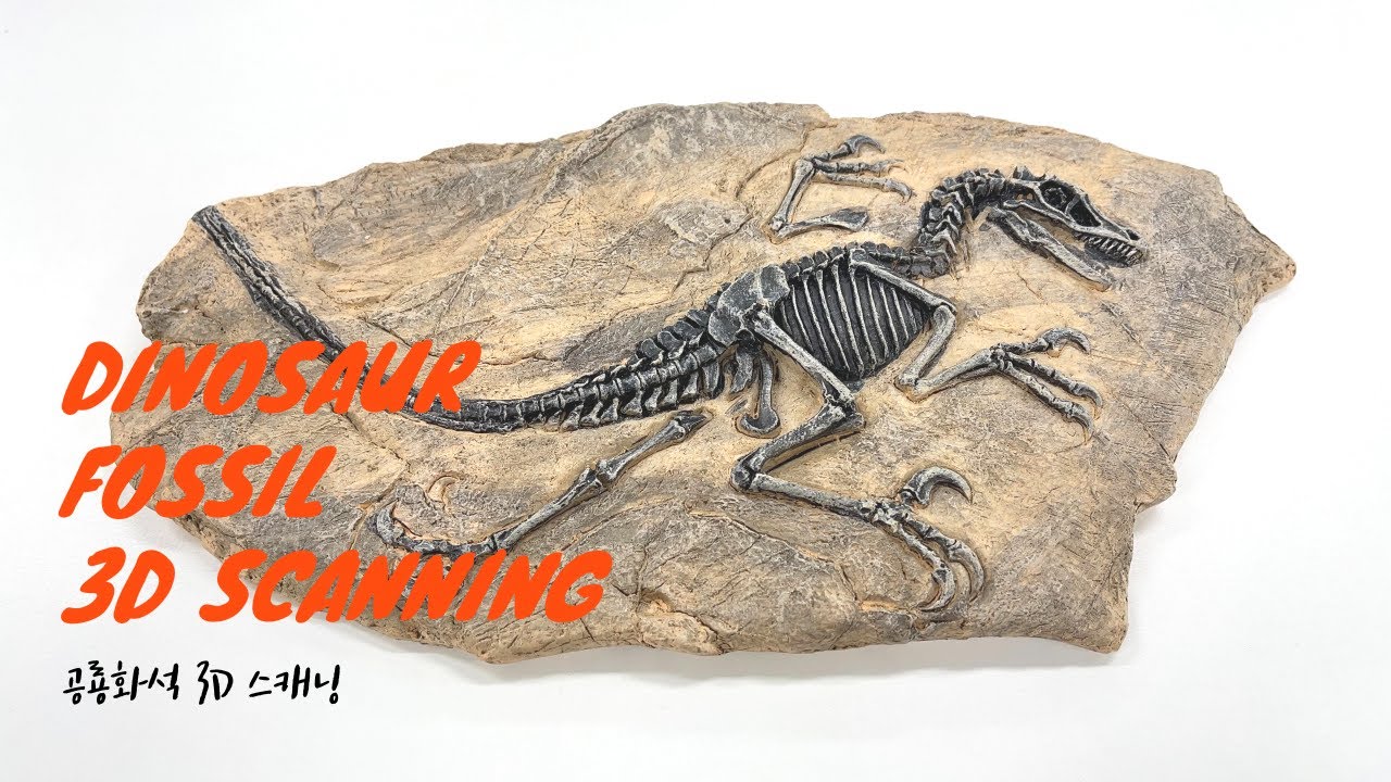 핸디형 레이져 3D스캐너를 이용한 공룡화석 3D스캔 / 3D scanning of dinosaur fossils using a ...