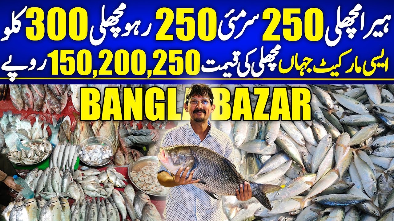 Cheapest Fresh Biggest Wholesale Fish Market | SURMAI 250KG,HEERA ...