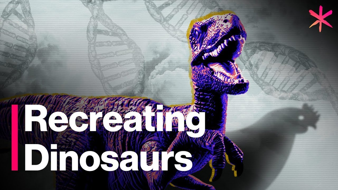 Should We Turn Chickens into Dinosaurs? - YouTube