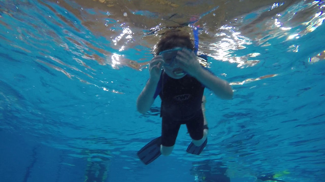 The Scuba Trust, try dive, Seal team, Fish ID, Amanda, George. - YouTube