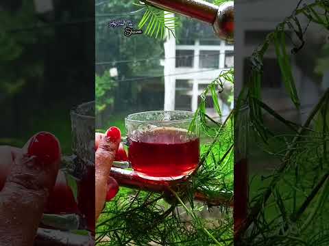 A beautiful rainy day🌼 #tea #shorts