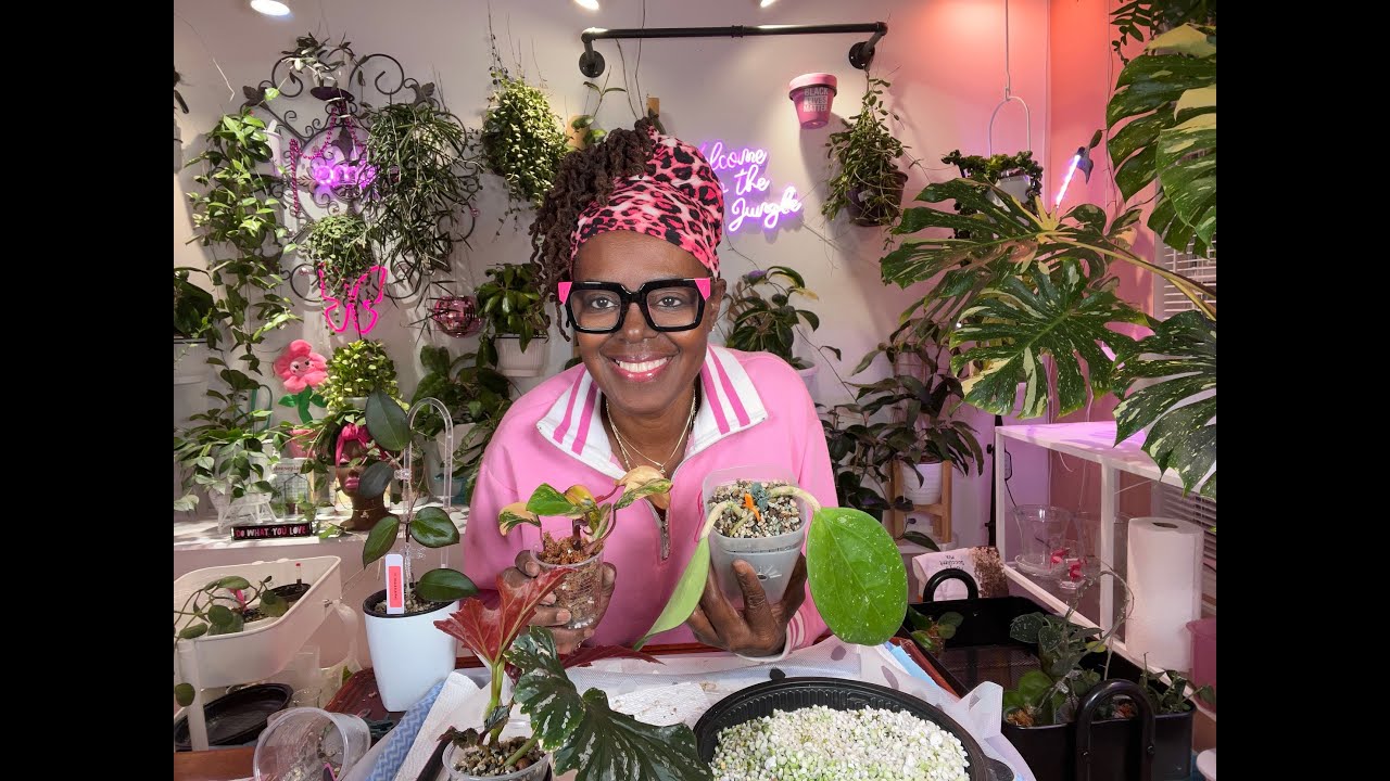 2024 Recap video - YouTube