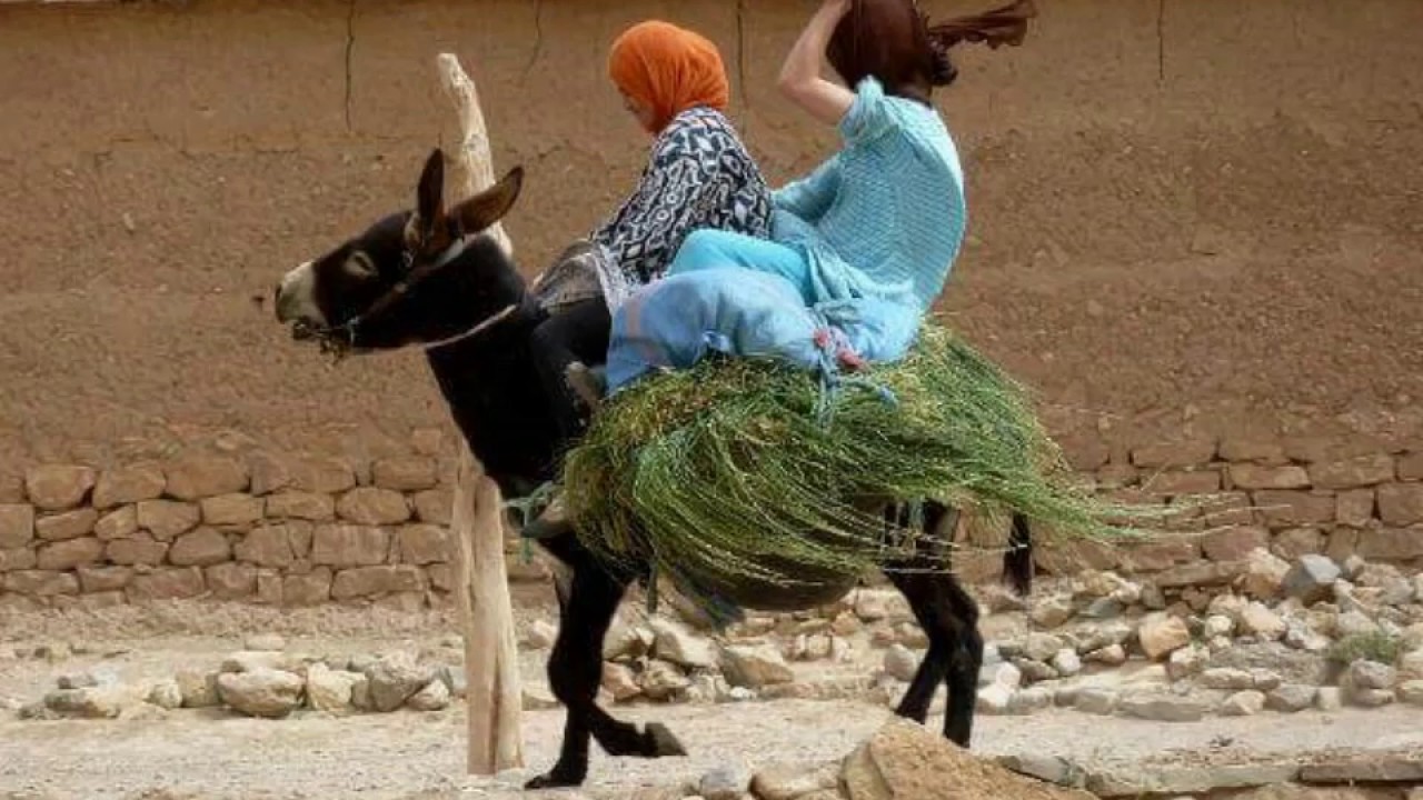 Houssa 46 Zine iRa Taxi Doumalouأروع أغنية أمازيغية الزين إيرا طاكسي ...