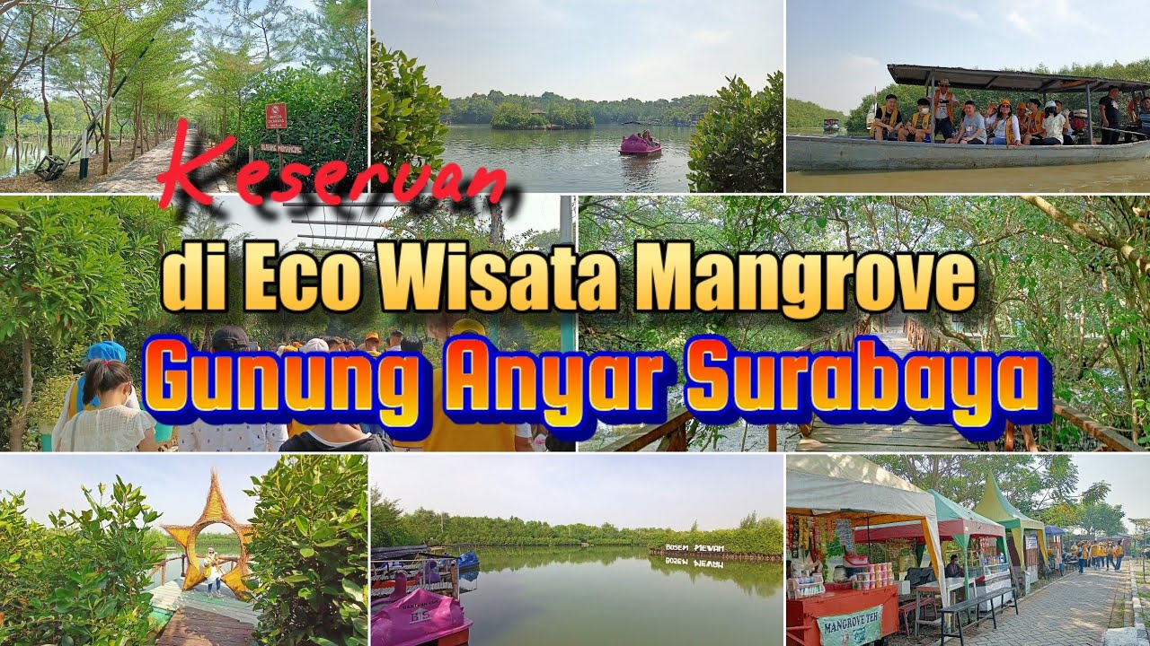 Keseruan di Eco Wisata Mangrove Gunung Anyar Surabaya - YouTube
