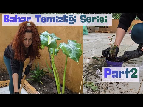 Bahar Temizliği Serisi 🌼 Bahçe Reset ✨️