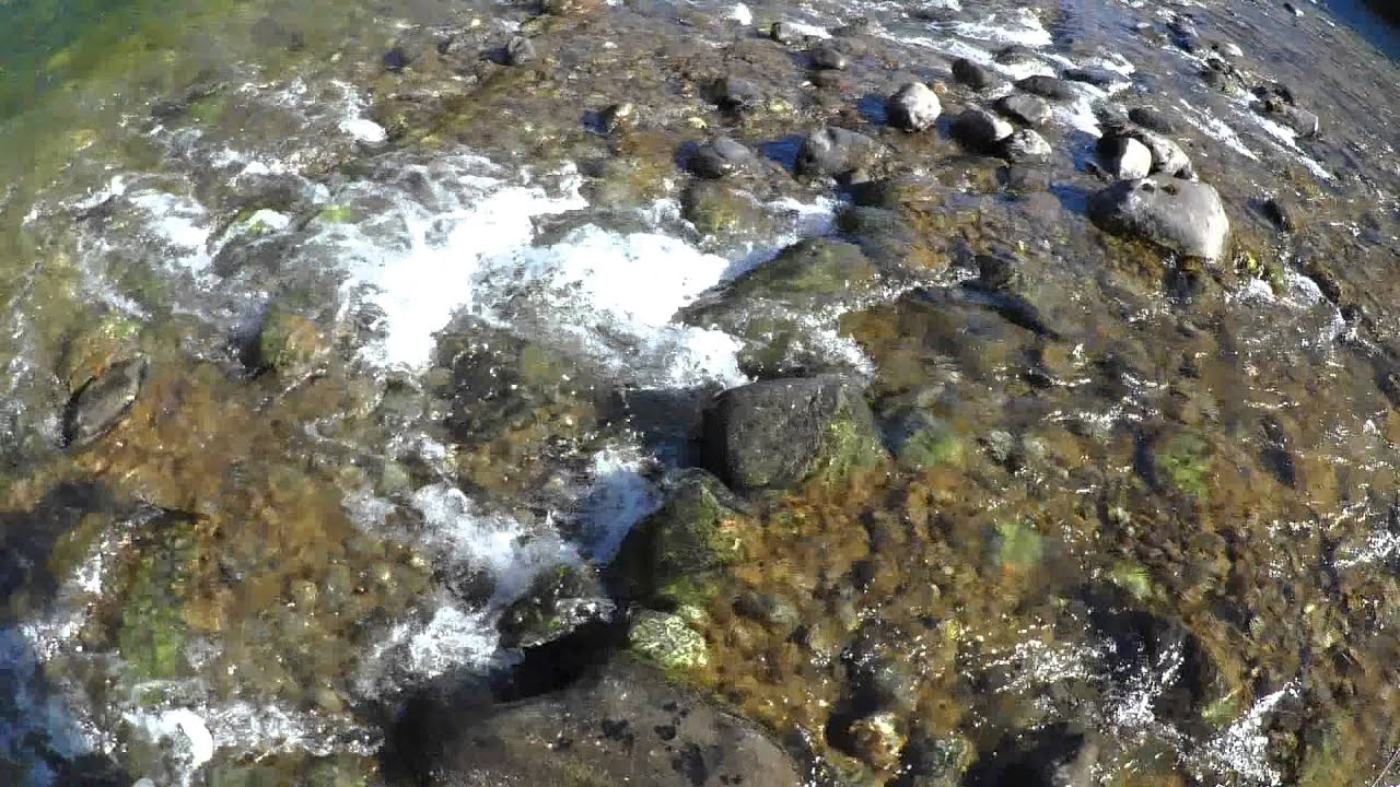 Chonook salmon by Tenkara style - YouTube