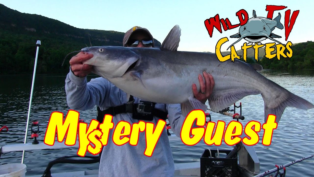 Catfishing: Drift fishing for catfish on rivers - YouTube
