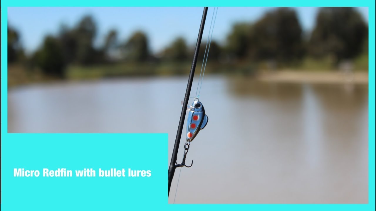 fishing for 10-15cm redfin w/ bullet lures (micro redfin) - YouTube