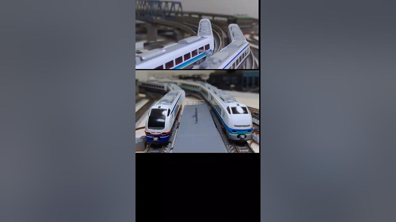 2 共走 JR東日本 E653系1100番代 上沼垂色 & しらゆき JR EAST E653-1100 SERIES “Kaminuttari color” & “Shirayuki” ＃ ...