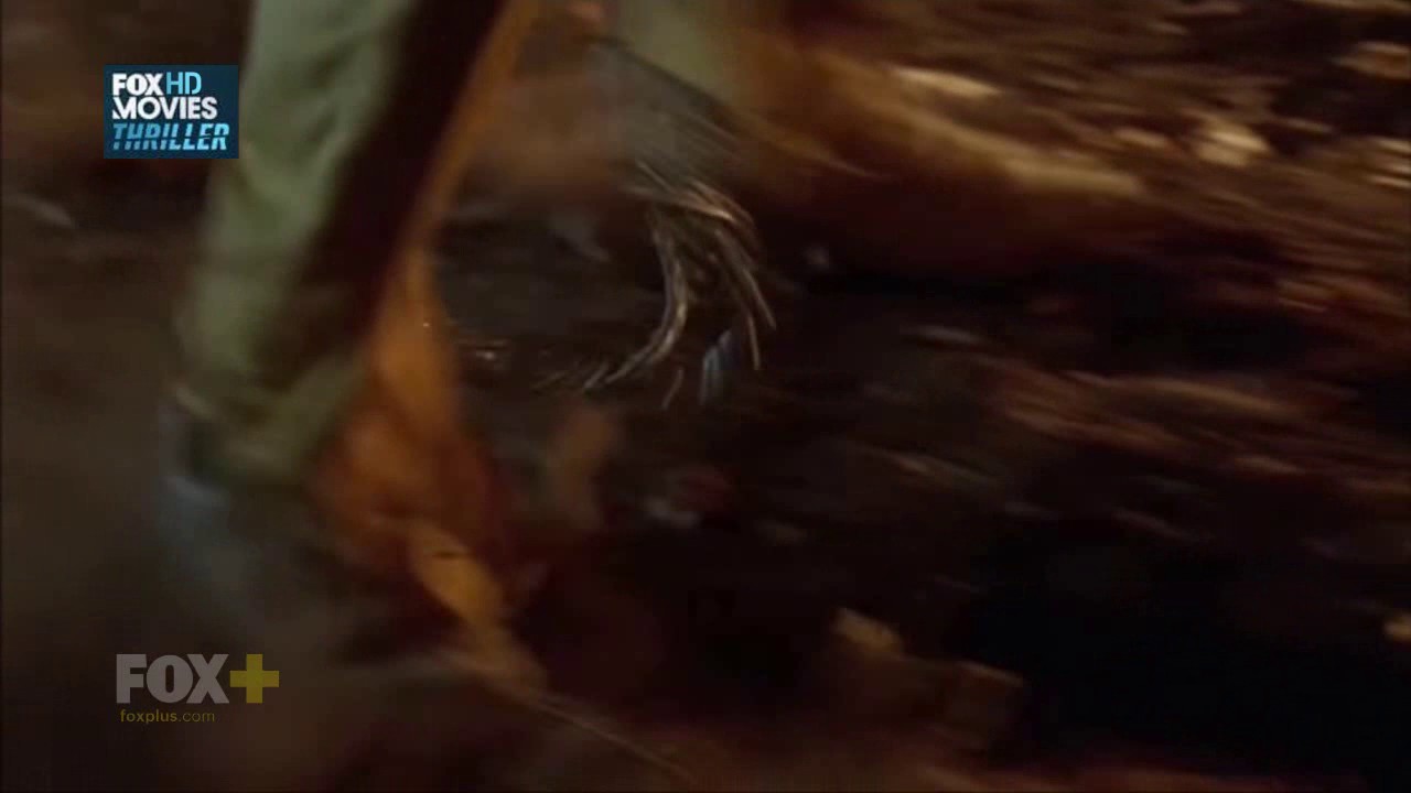 The Fugitive (1993) - The bus and train crash scene - Dr. Richard ...