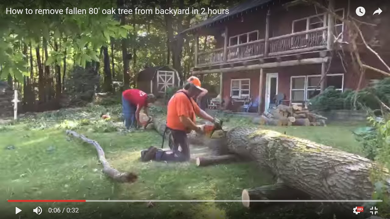 How to remove fallen 80' oak tree from backyard in 2 hours - YouTube