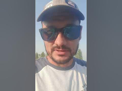 Выращиваем иву для плетения живых изгородей, деревьев и плетеных ...