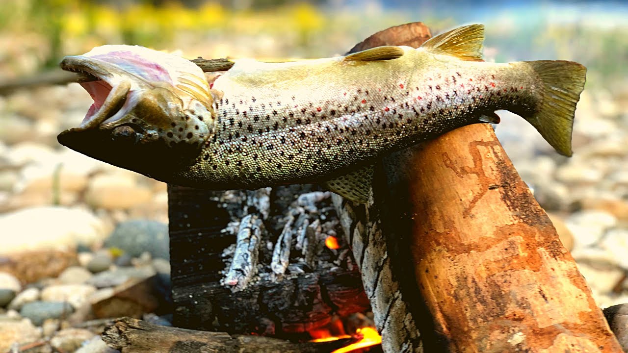 Brown Trout Catch & Cook Over an Open Fire - YouTube