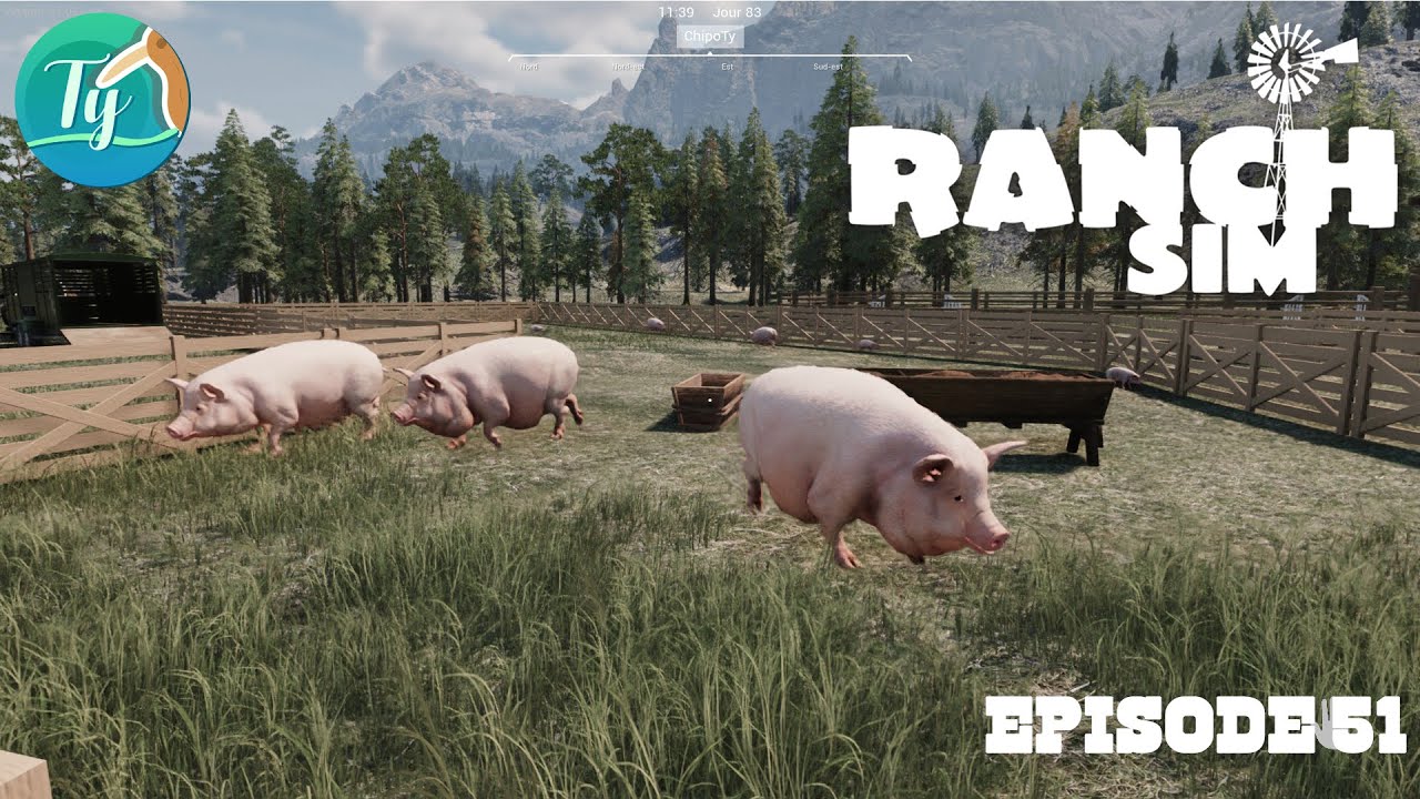 Ranch Simulator: le retour des salamis! ! Road to 1M. Let's play 51 [FR ...