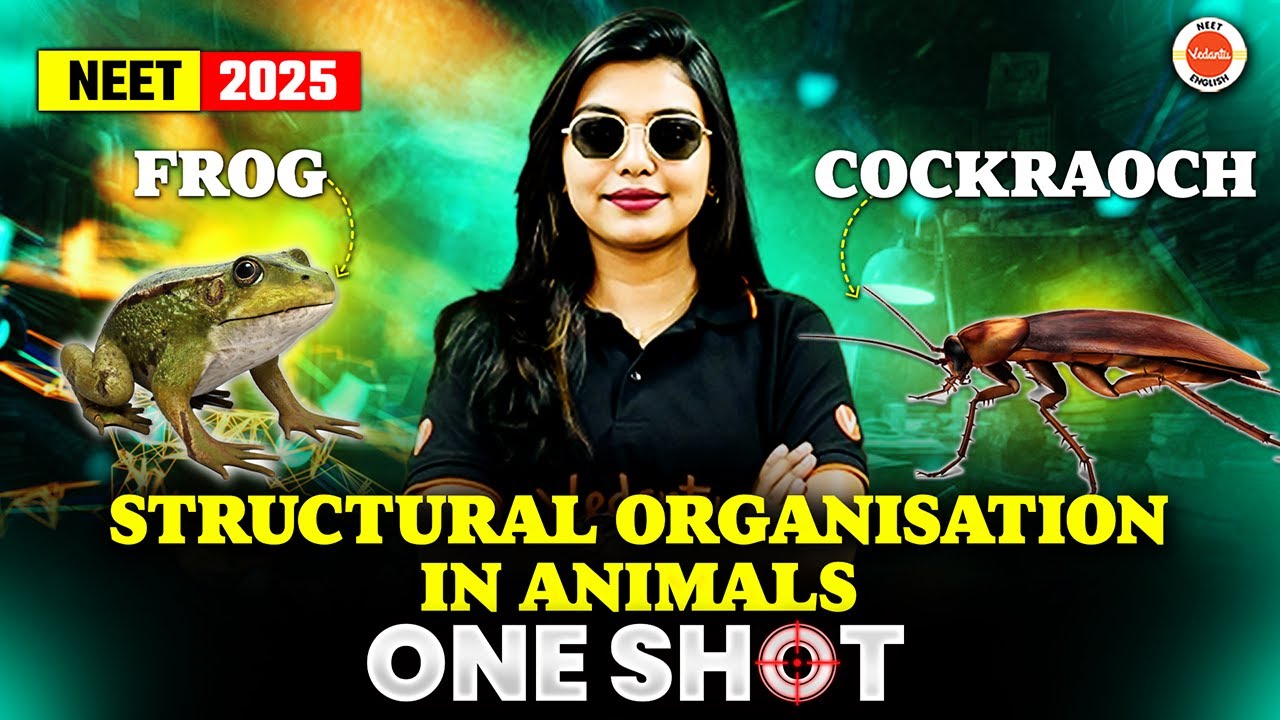 Structural Organisation in Animals | Frog & Cockroach | One Shot | NEET ...