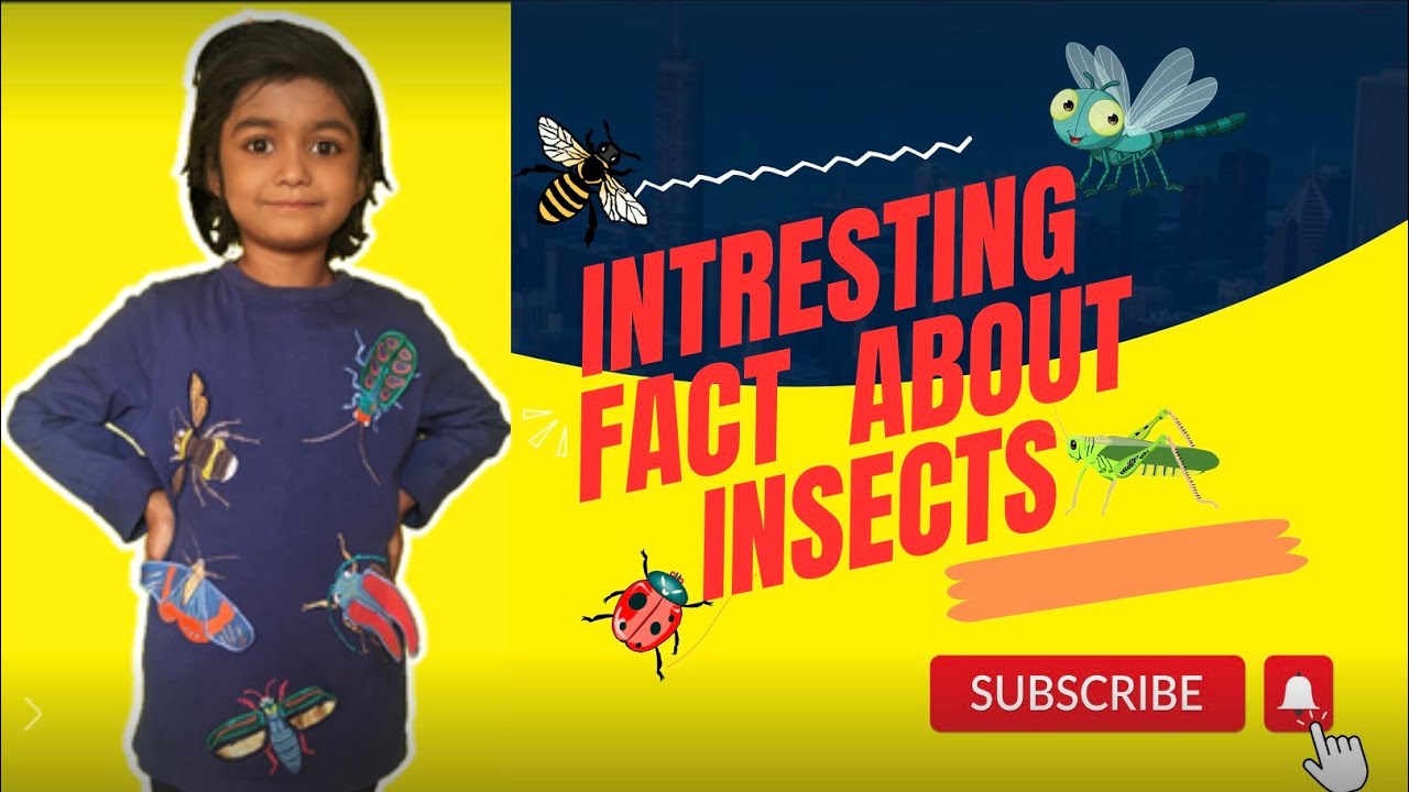 Interesting Fact About Insects II Information About Insects & 10 Type ...