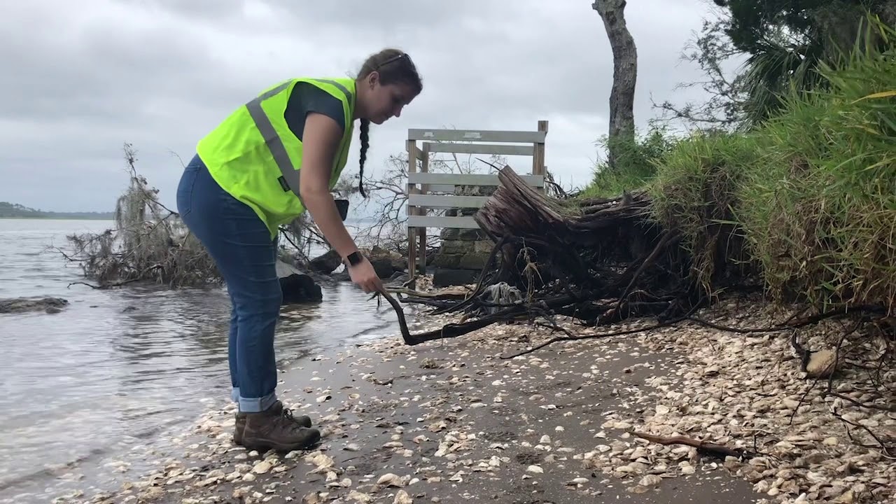 Shell Bluff Landing Climate Story - YouTube