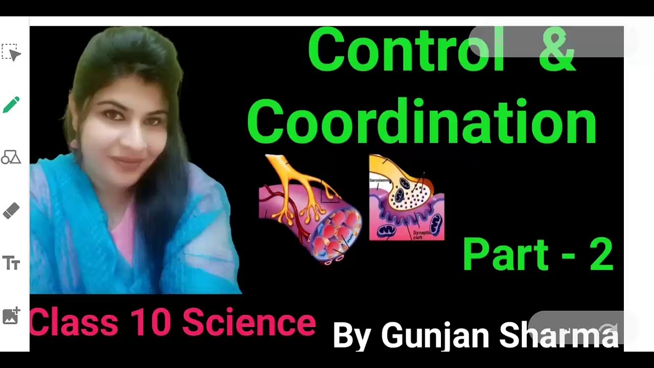 Control and Coordination/Part-2/Chapter-7/10 Class Biology/Reflex ...