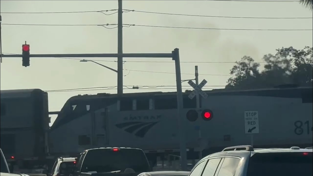 Amtrak #837 leads a southbound Auto-Train near Jacksonville, Florida ...