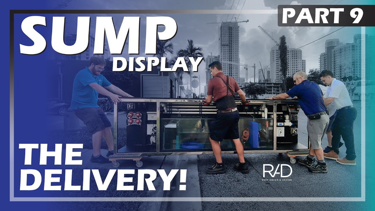 SUMP DISPLAY PROJECT - DELIVERY DAY IN FORT LAUDERDALE - BUILT BY REEF ...