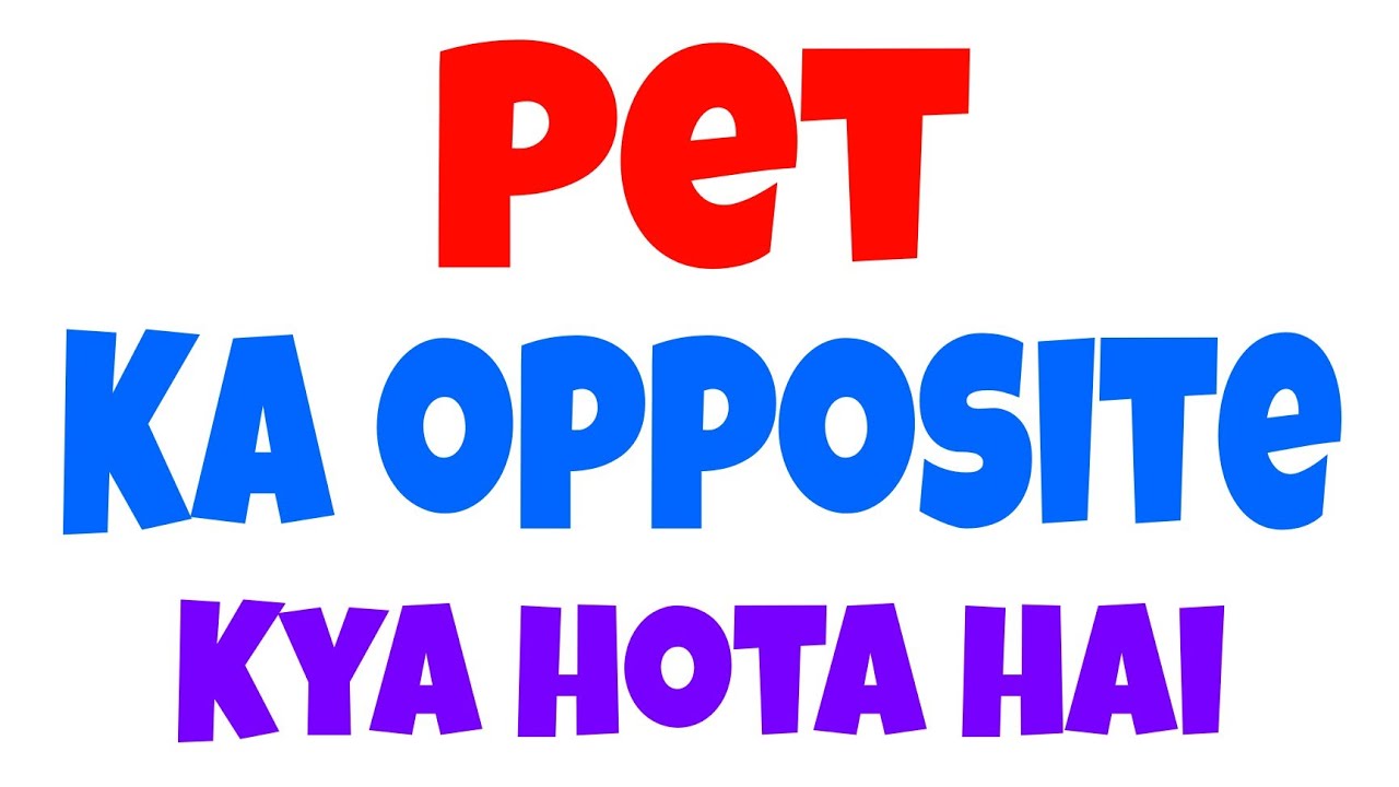 Pet ka opposite word | Pet ka opposite | Pet Opposite word |Pet ka ulta ...