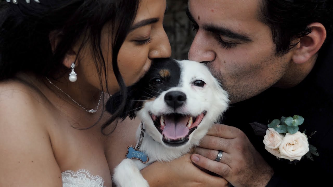 Groom Sings To His Bride On Their Wedding Day | Carlsbad, CA Wedding ...