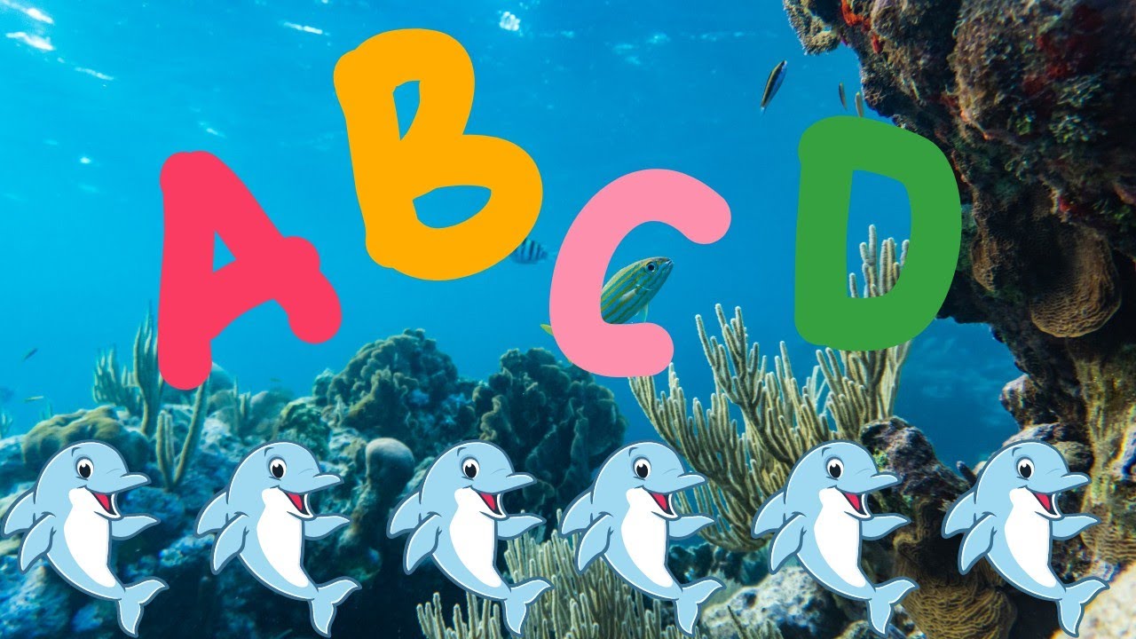 ABCD: The Ultimate Guide for Beginners | Bakika Magical Kids - YouTube