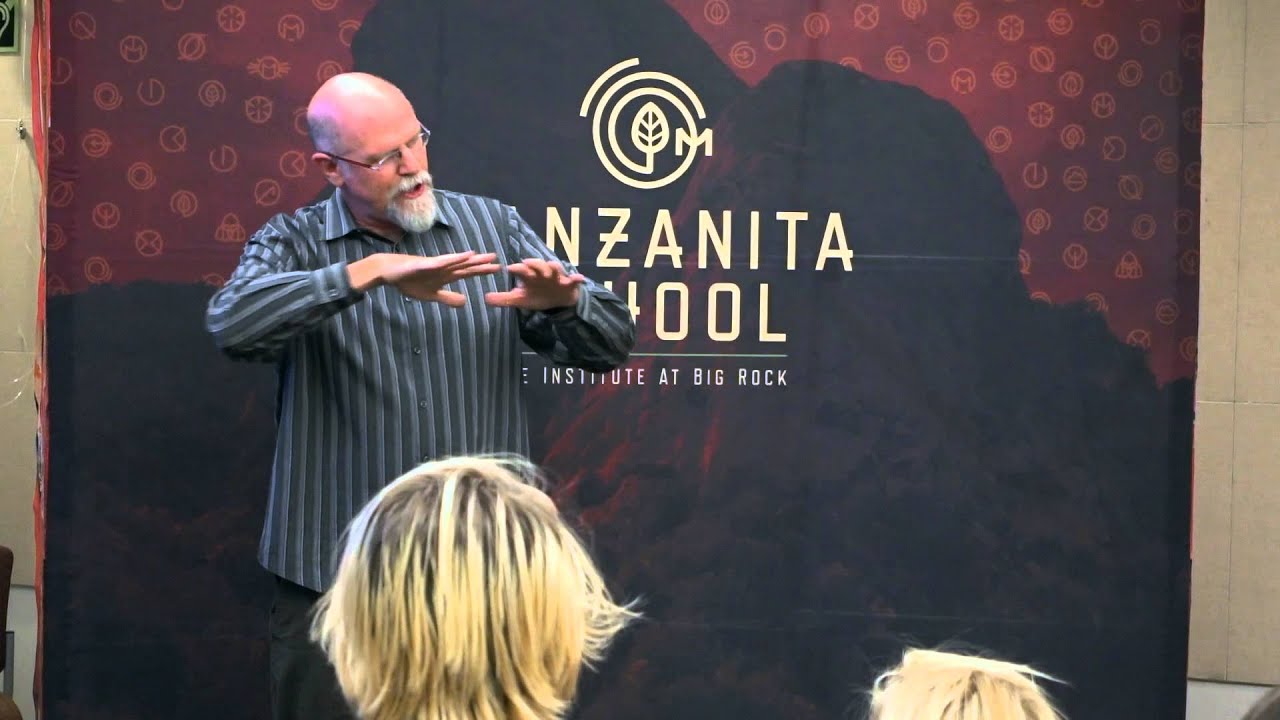 Challenging the Mechanistic Worldview: Matter is Self-Organizing - YouTube