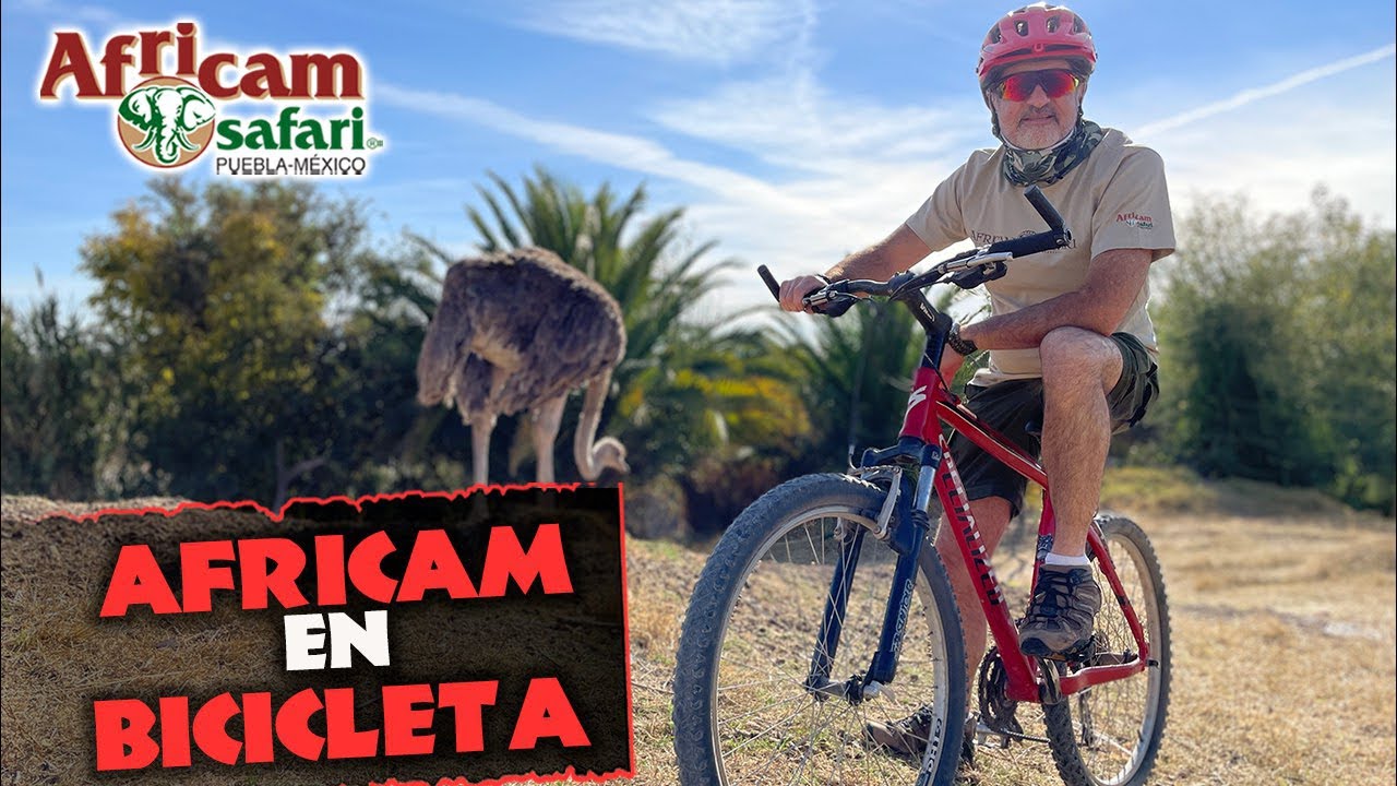 Wild Biker Safari 🚴🏻‍♀️🚴🏻‍♂️ con Frank Carlos Camacho en Africam Safari ...