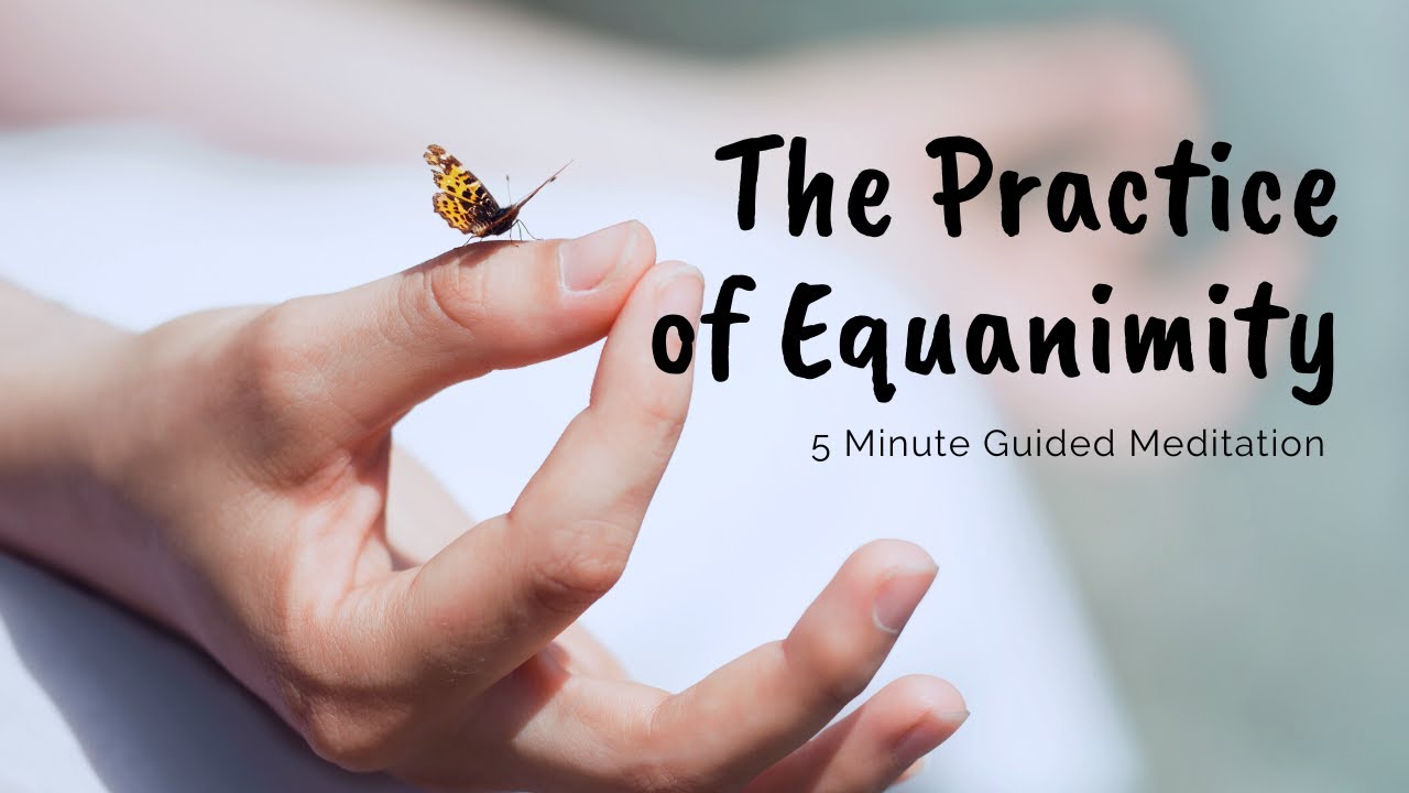 Practicing Equanimity | 5 Minute Guided Meditation - YouTube