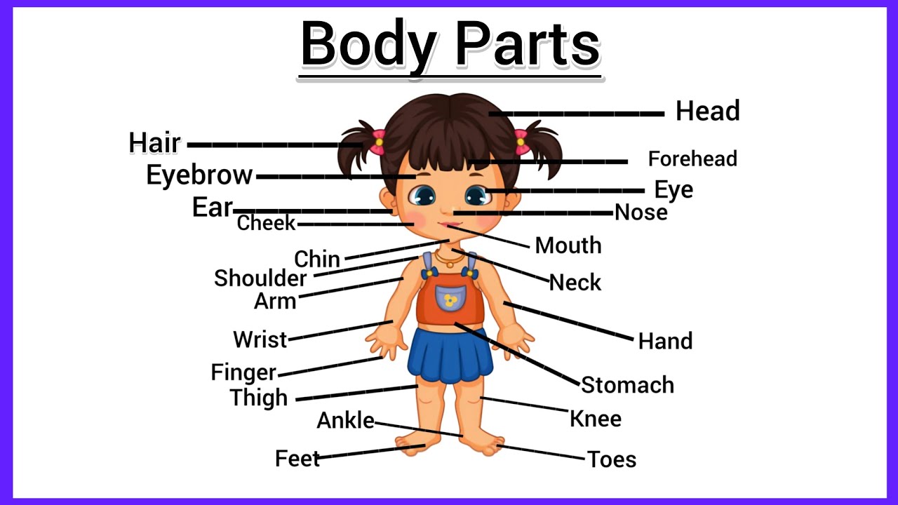 Learn parts of your body || body parts #body #bodyparts - YouTube