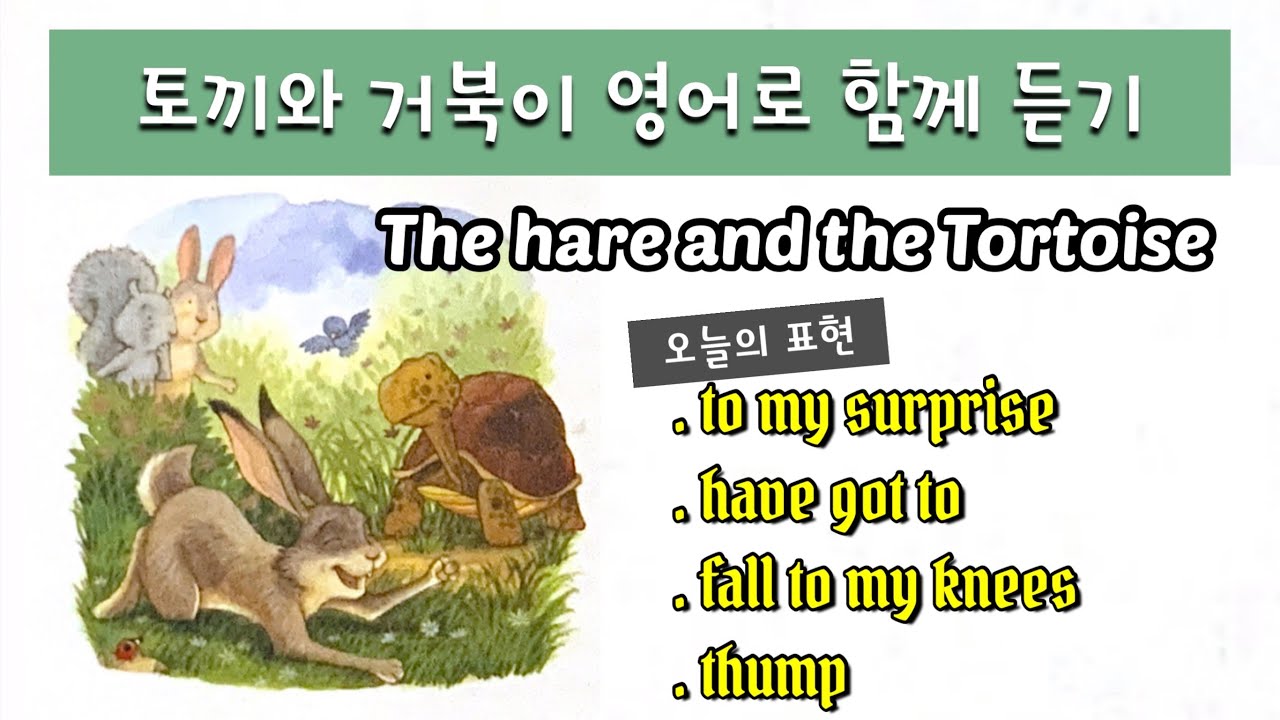 토끼와 거북이 영어버젼 영어회회 유용한 표현 한가득 영어식 사고로 영어말하기 매일영어동화습관 5분영어회화
