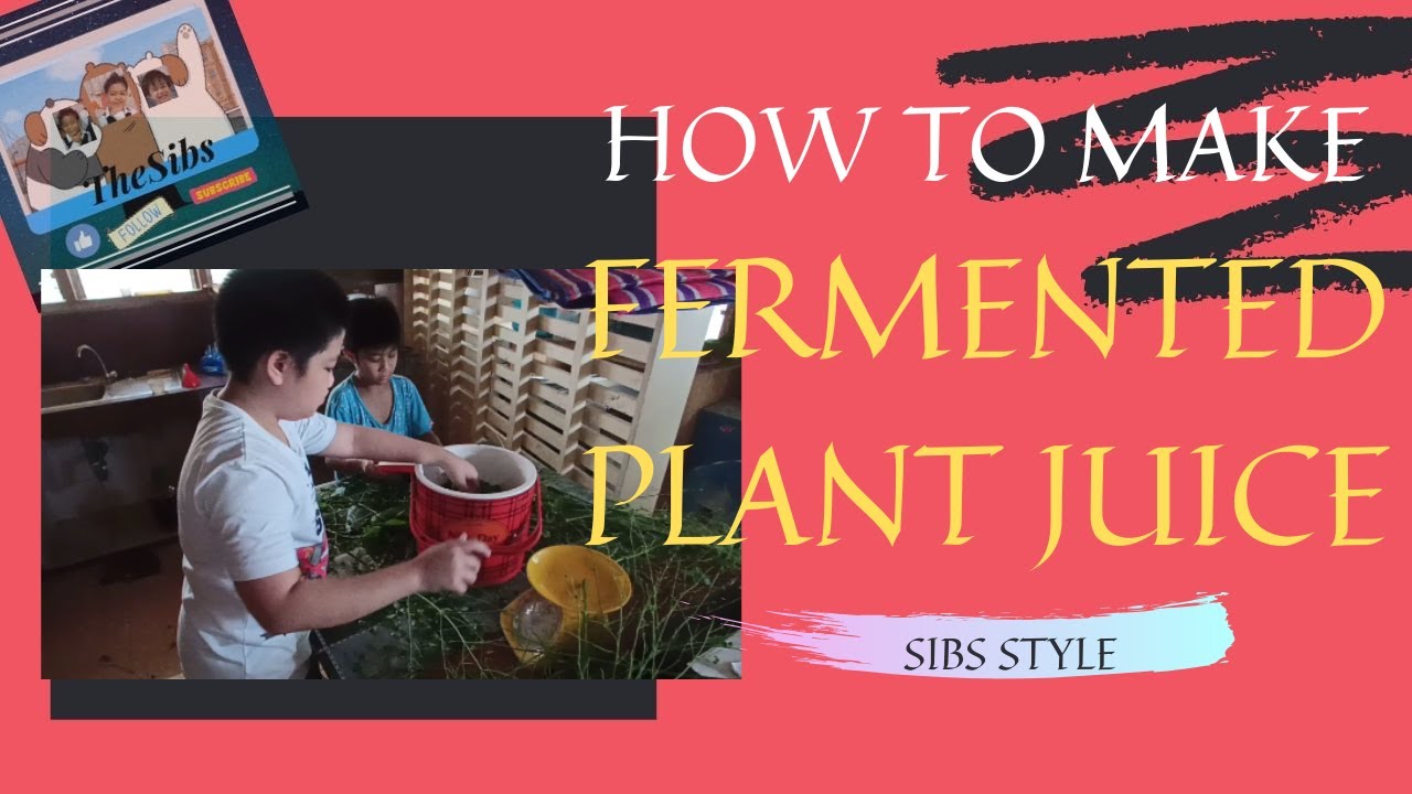 How to Make Fermented Plant Juice - YouTube