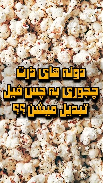 دونه های ذرت چجوری به چس فیل تبدیل میشن ⁉️🍿 Shorts Youtube