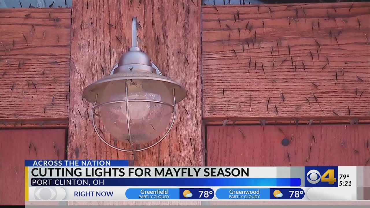 Cutting lights for Mayfly season in Port Clinton, Ohio - YouTube