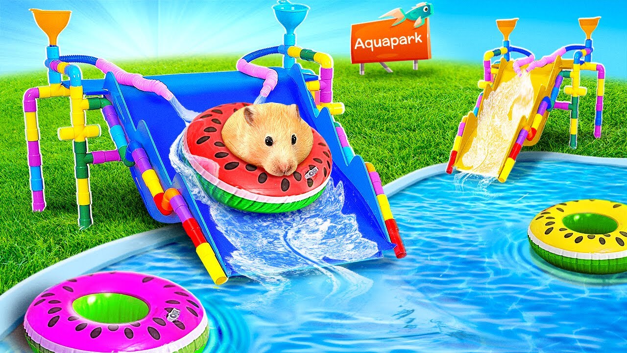 Hamster in Waterpark! The Ultimate Maze Adventure *DIY Hacks and ...