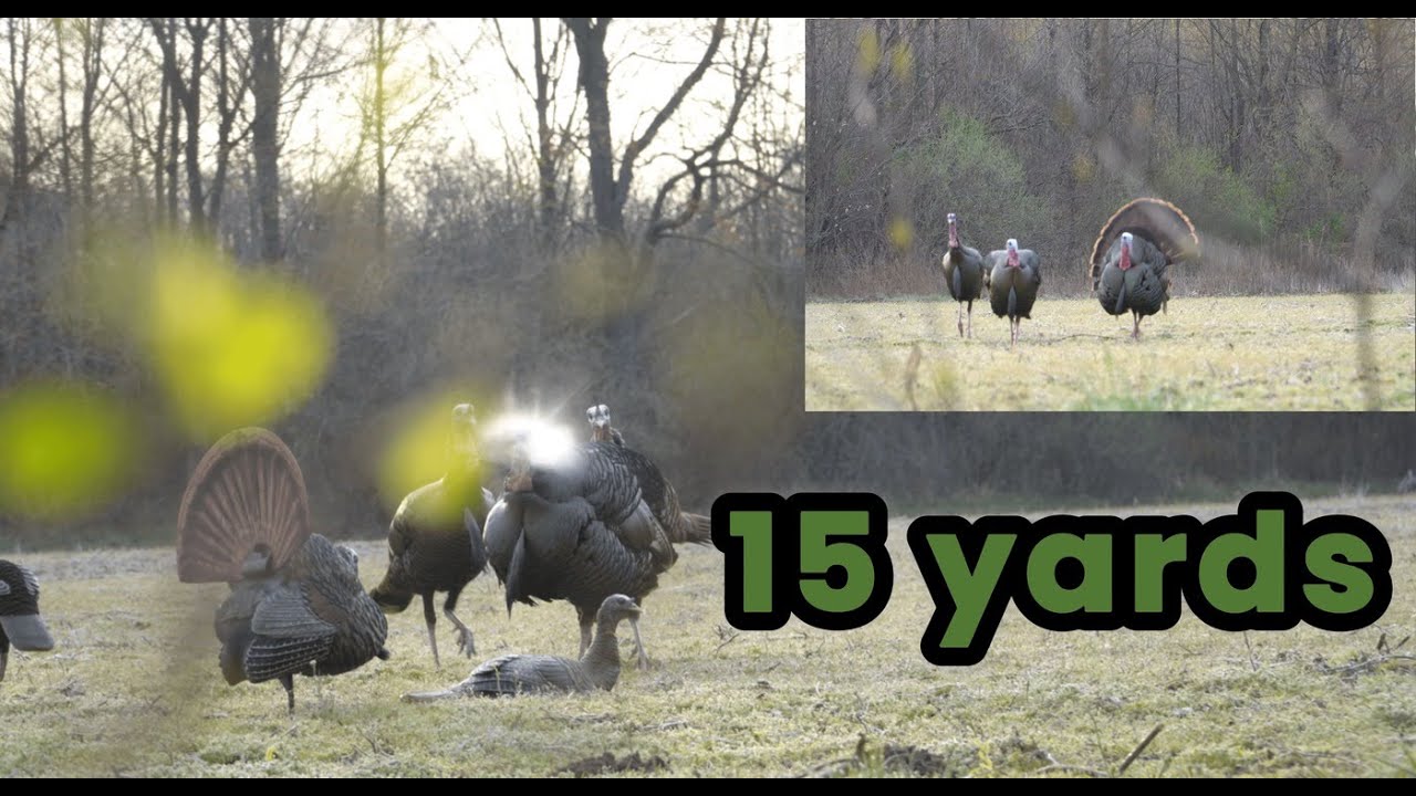 CZ REAPER MAGNUM SLOW-MOTION HEAD SHOT 15 YARDS I (Gino's first turkey ...