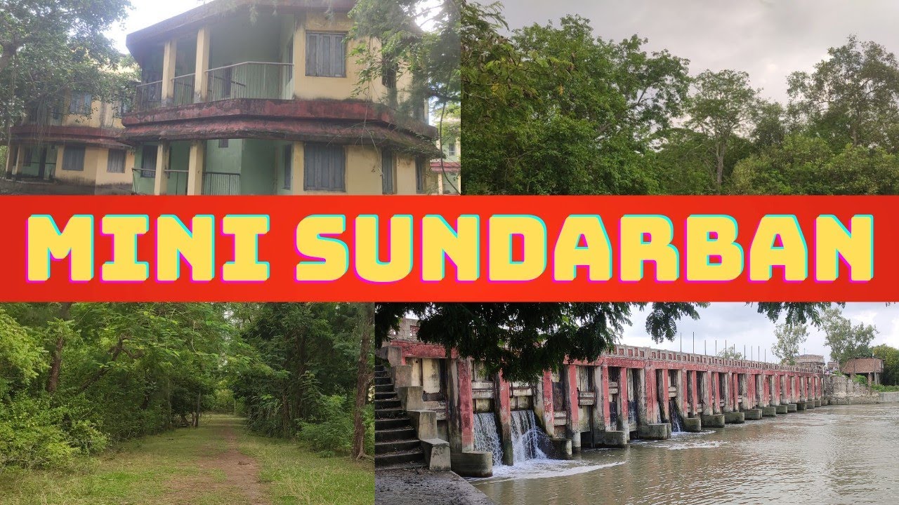 Mini Sundarban/Kella Bridge/ Piyali River #vlog #universal - YouTube